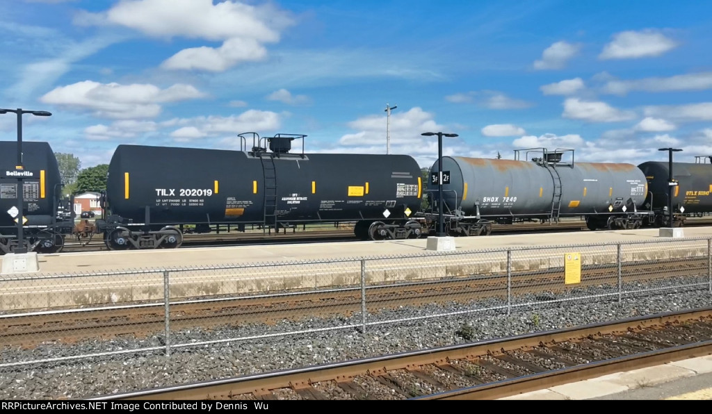 TILX 202019 and SHQX 7240